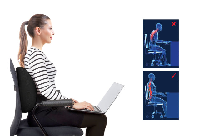 MoltyOrtho Back Care Cushion Review – Posture & Relief– Master MoltyFoam