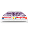 MoltyFoam The best Foam Mattress– Master MoltyFoam