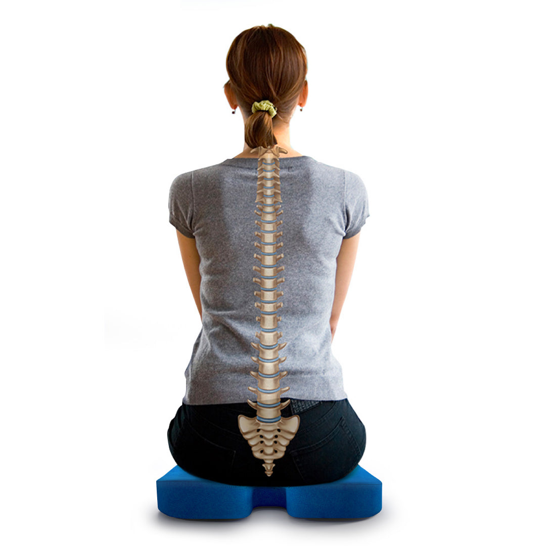 Coccyx Cushion– Master MoltyFoam